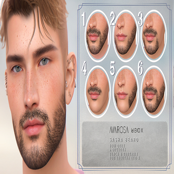 Second Life Marketplace - [avarosa] Sasha Beard (LeL EVO X)